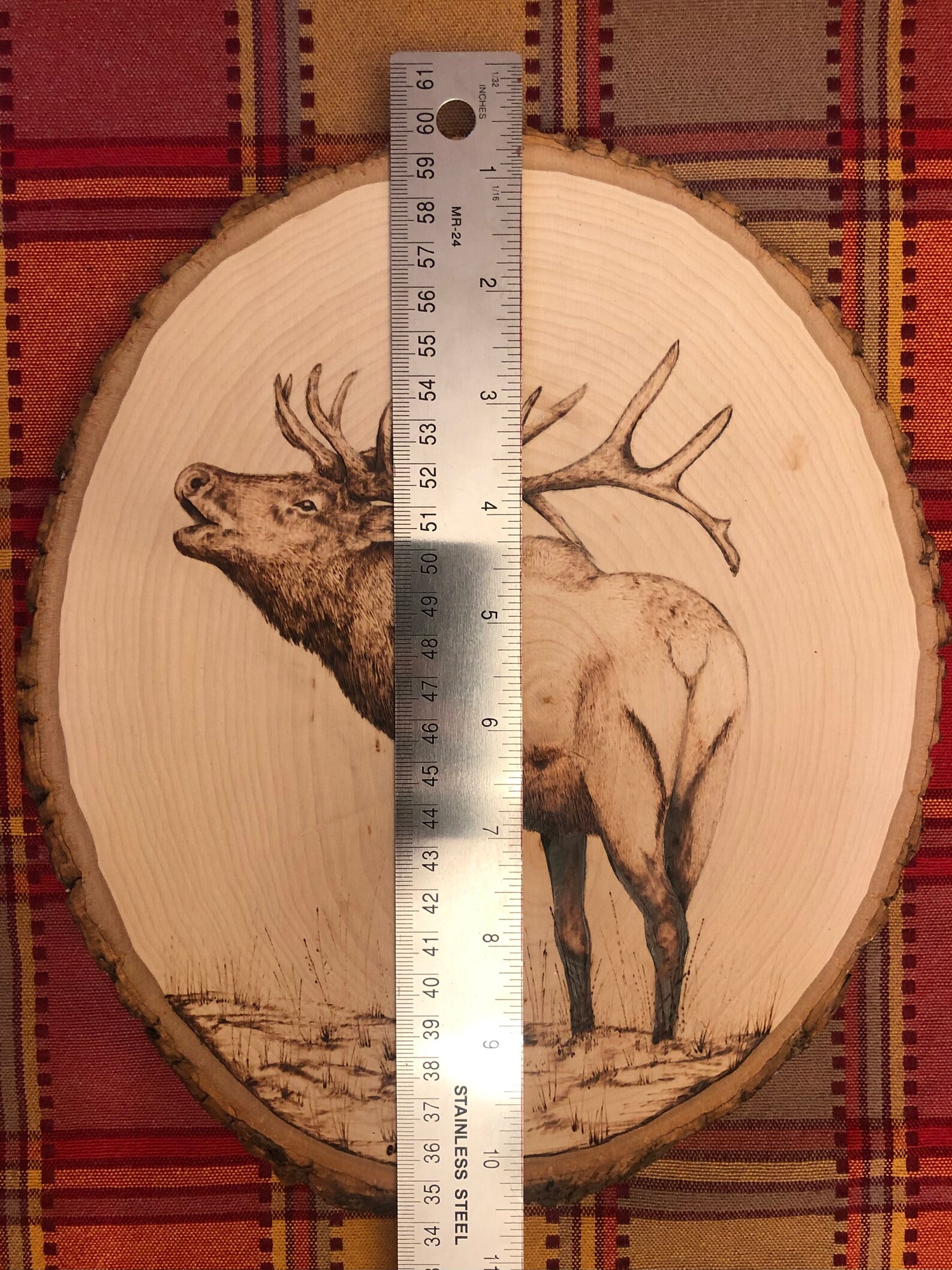 Wood Burned Elk Portrait on Basswood Round. Animal Pyrography Art - Etsy