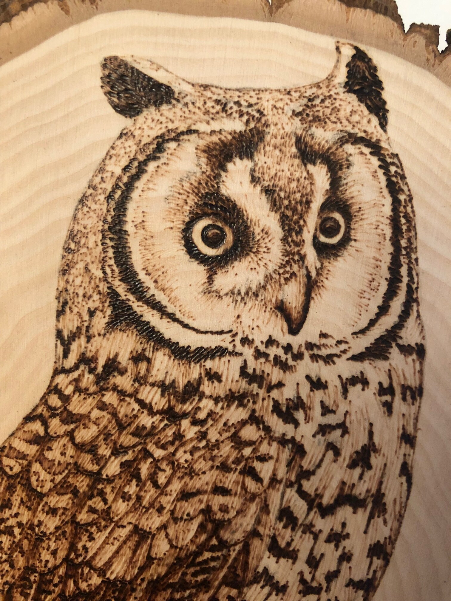 Wood Burned Long Eared Owl on Basswood - Etsy