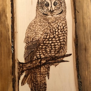 Wood Burned Great Grey Owl on Basswood - Etsy
