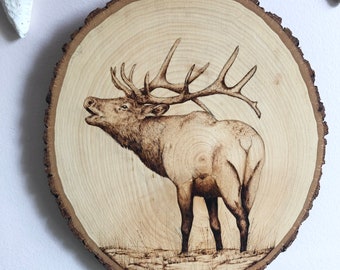 Wood Burned Bison and Sweetgrass Art on Basswood. Pyrography Art ...