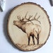 Wood Burned Elk Portrait on Basswood Round. Animal Pyrography Art - Etsy
