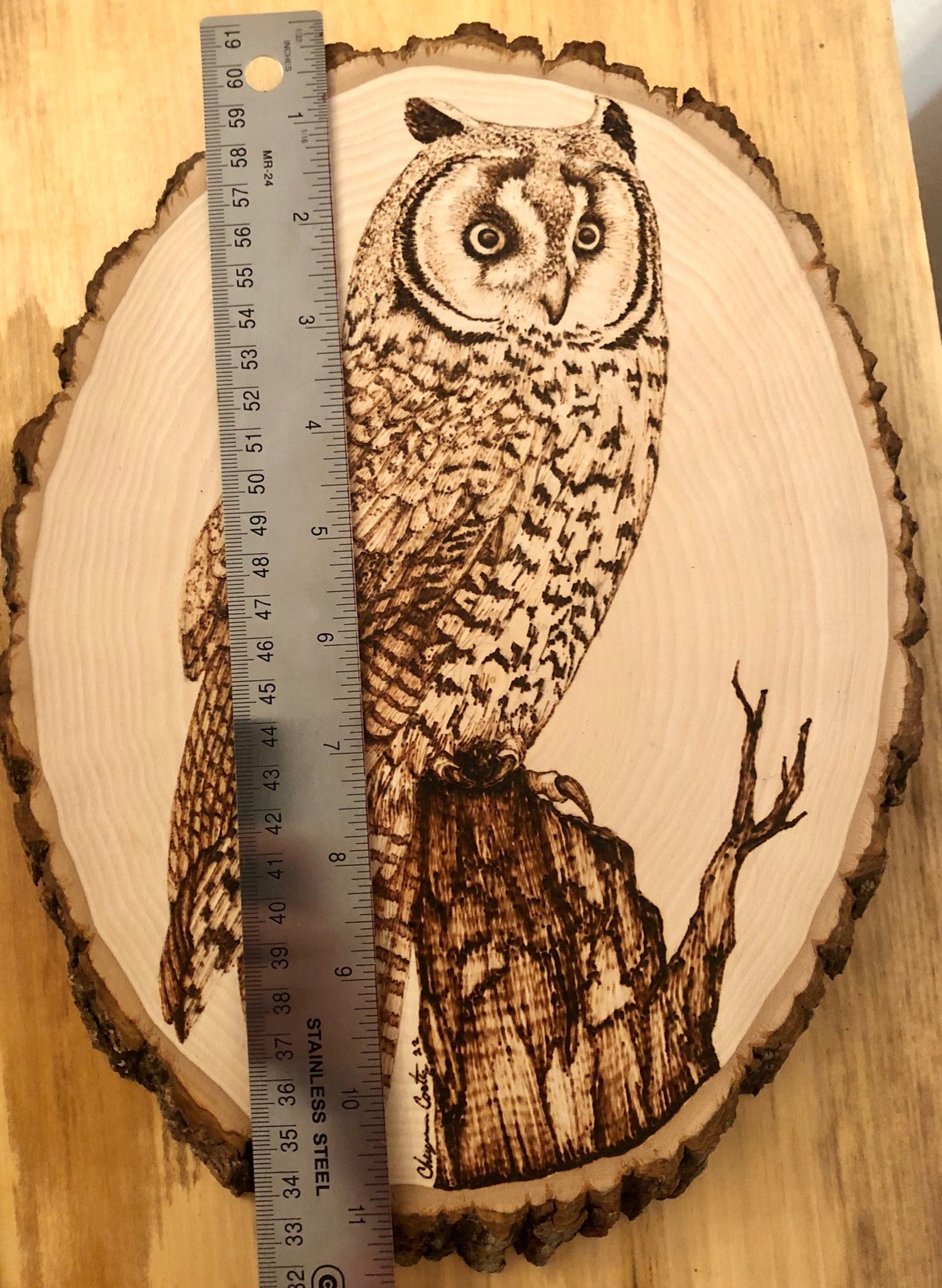 Wood Burned Long Eared Owl on Basswood - Etsy