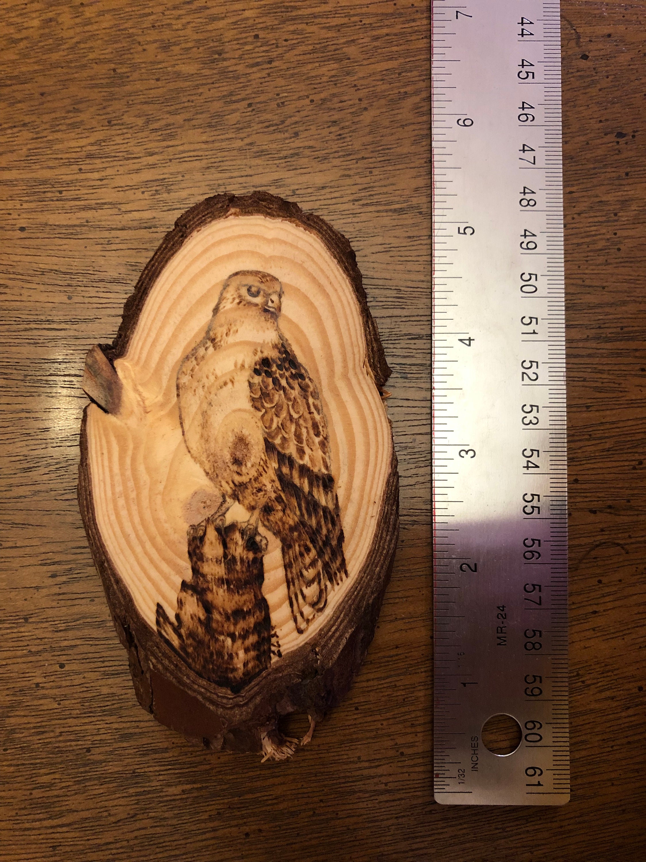Wood Burned Hawk Portrait on Small Wood Slice. Wood - Etsy