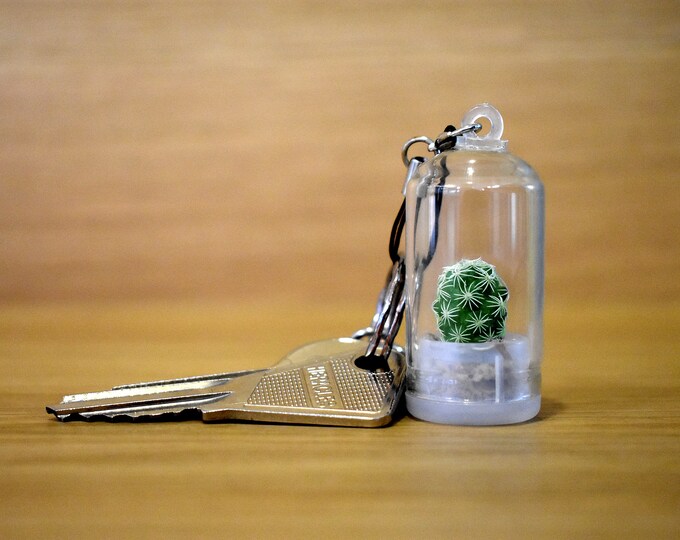 Keychain - Mini Cactus Pendant - CORY - Etsy