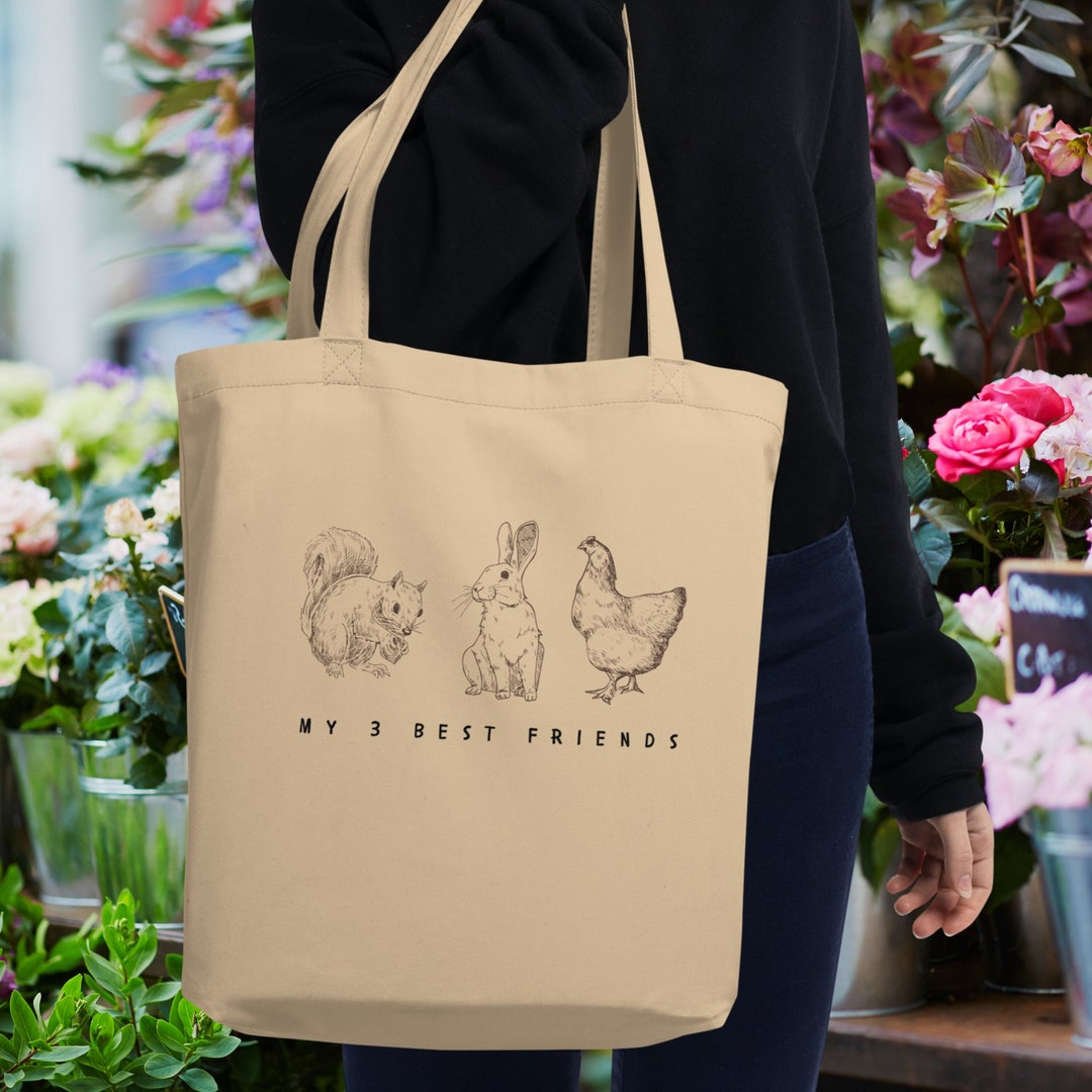 My 3 Best Friends Rabbit Chicken Squirrel Friend Gift - Etsy