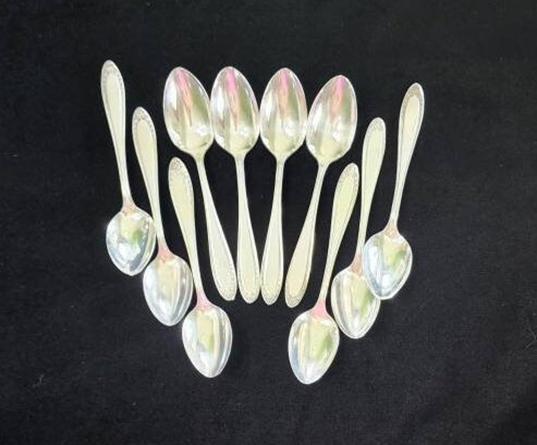 Vintage 1915 BRIDAL WREATH Oneida Community Par Plate Silverplate Set ...