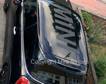Vinyl Roof Decal - Etsy UK
