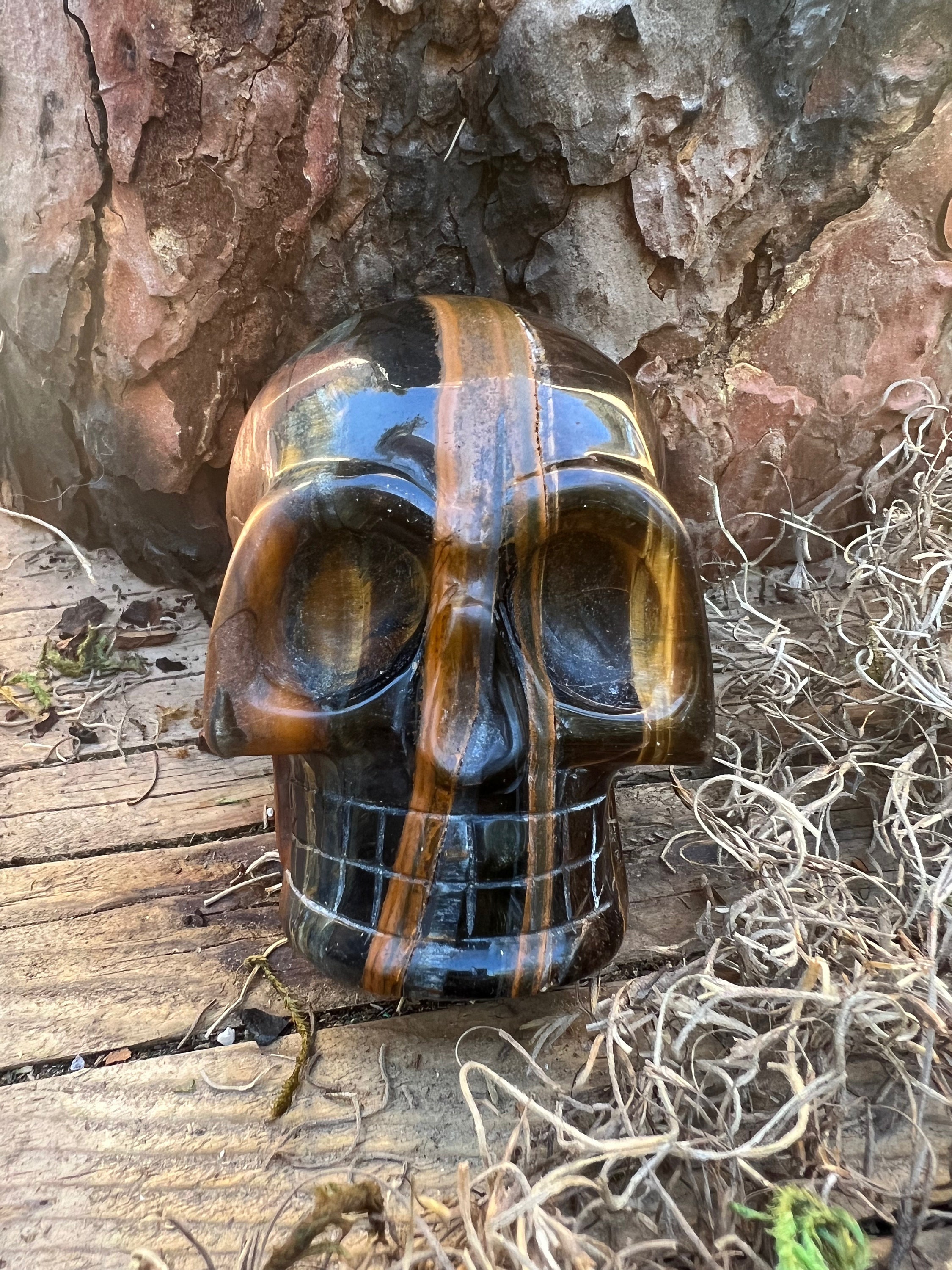 Large Tigers Eye Skull Gold Blue Old Stock Throat and Solar Plexus Chakra Tiger Eye Skull Over 1 Pound 3 Inches Etsy