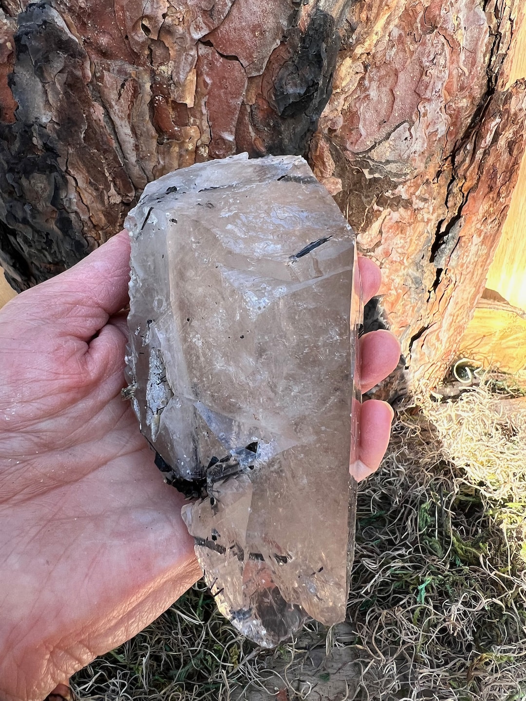 Tourmalated Quartz With Mica: Growth Interference Empathic Crystal - Etsy