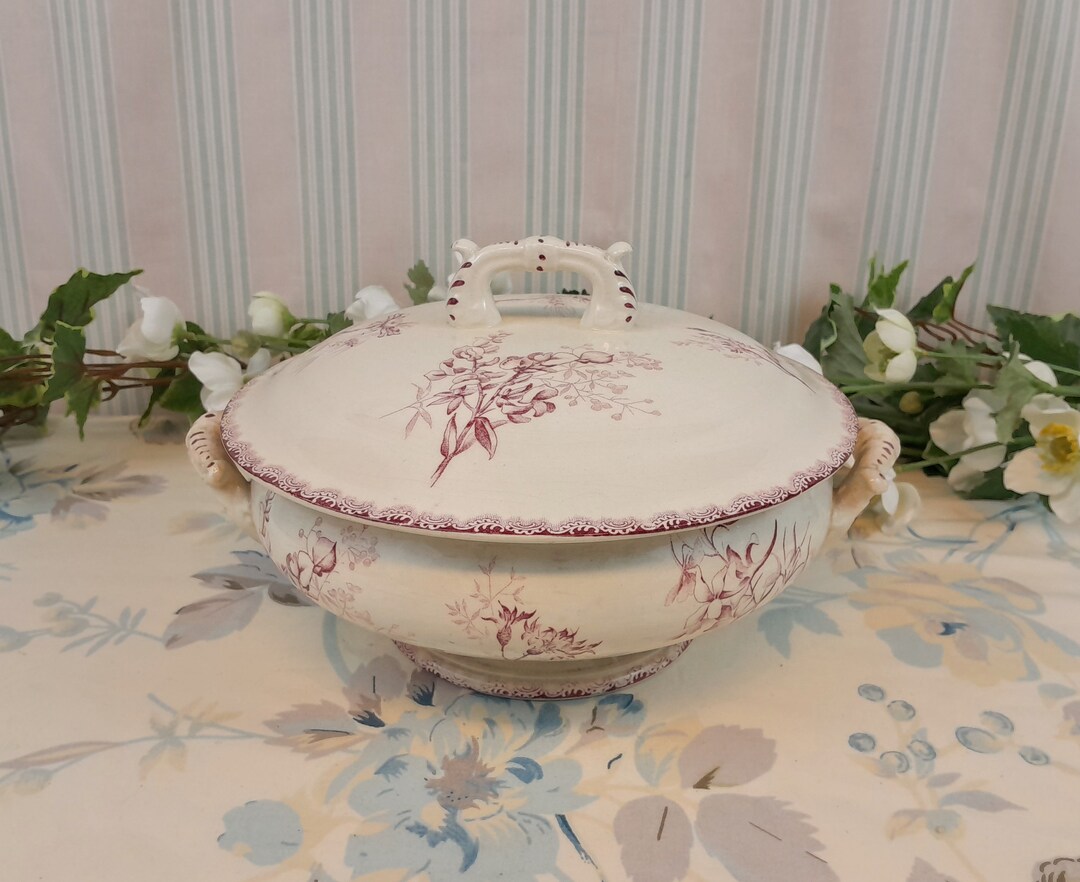 Vegetable Choisy-le-roi Provençal - Etsy