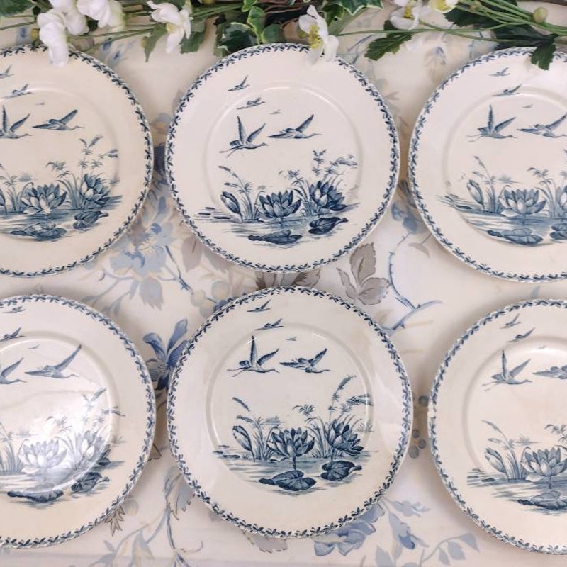 Water Lily Plate - Etsy