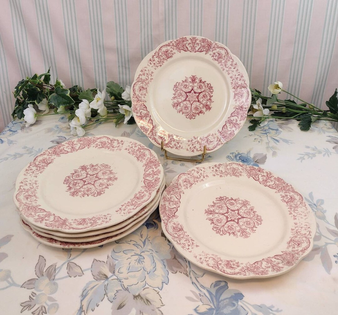 Longchamp Bella Pink Dinner Plates - Etsy