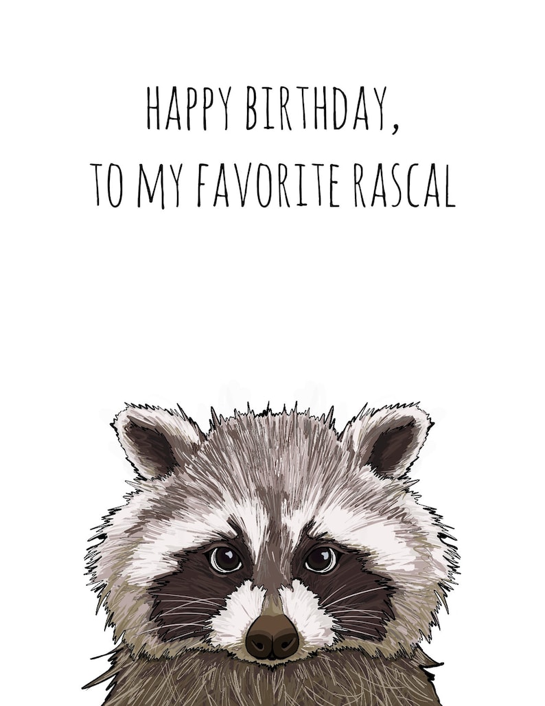 Raccoon Birthday Card, 'favorite Rascal' Greeting Card - Etsy