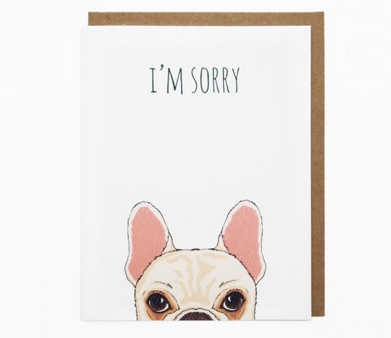 I'm Sorry Puppy Dog Eyes Apology Sympathy Encouragement | Etsy