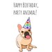 Happy Birthday, Party Animal! Party Celebration Birthday French Bulldog ...