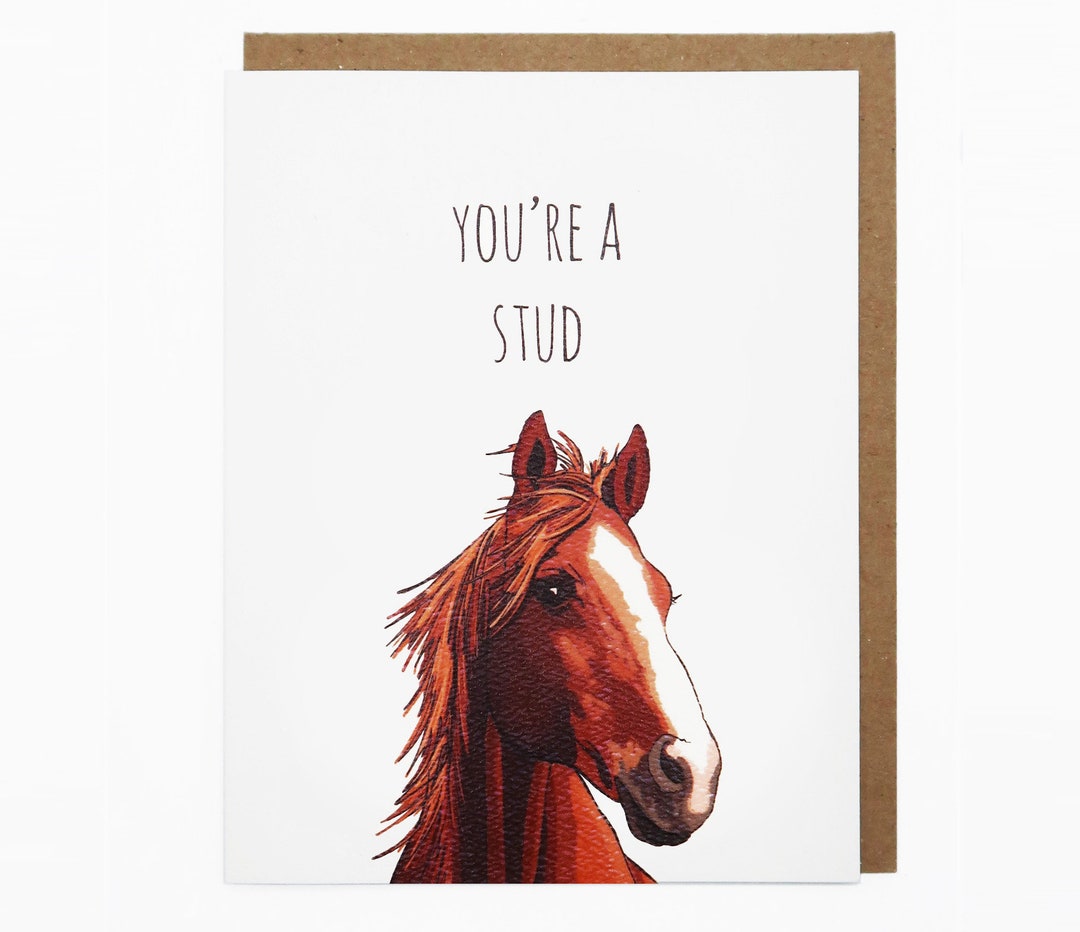 Love Card, Anniversary Card, Encouragement Card, Stallion Card, Horse ...