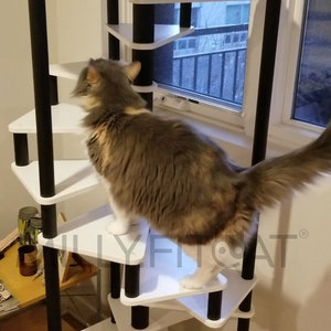 Cat Tree, 12 Step Spiral Cat Furniture, Best Cat Stairs (2023), Cat ...