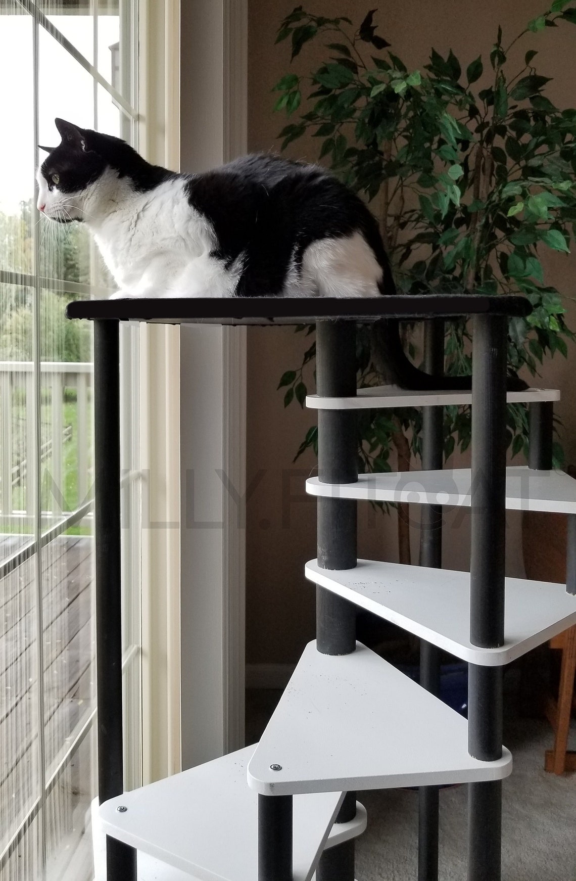 Cat Tree, 9 Step Spiral Cat Ladder, Cat Stairs With Cat Perch on Top ...