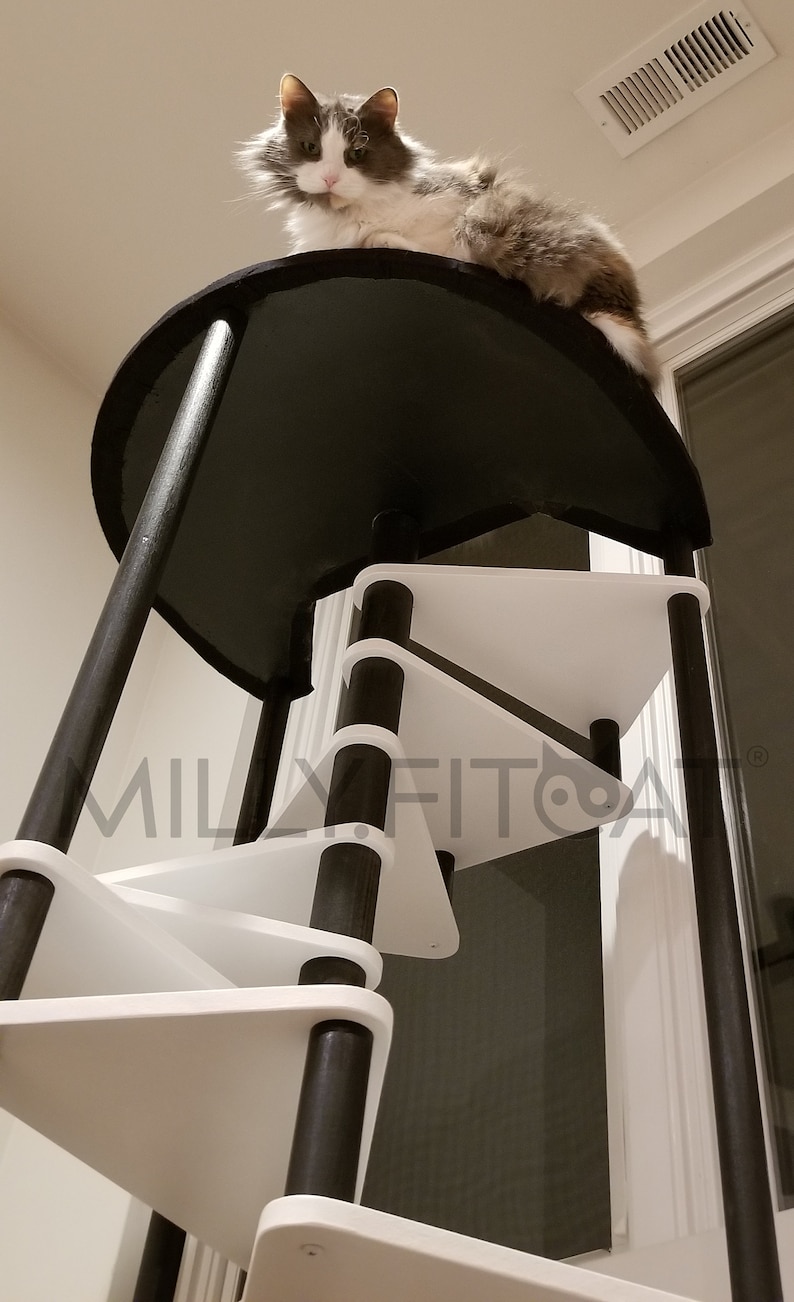 Cat Tree, 9 Step Spiral Cat Ladder, Cat Stairs With Cat Perch on Top ...