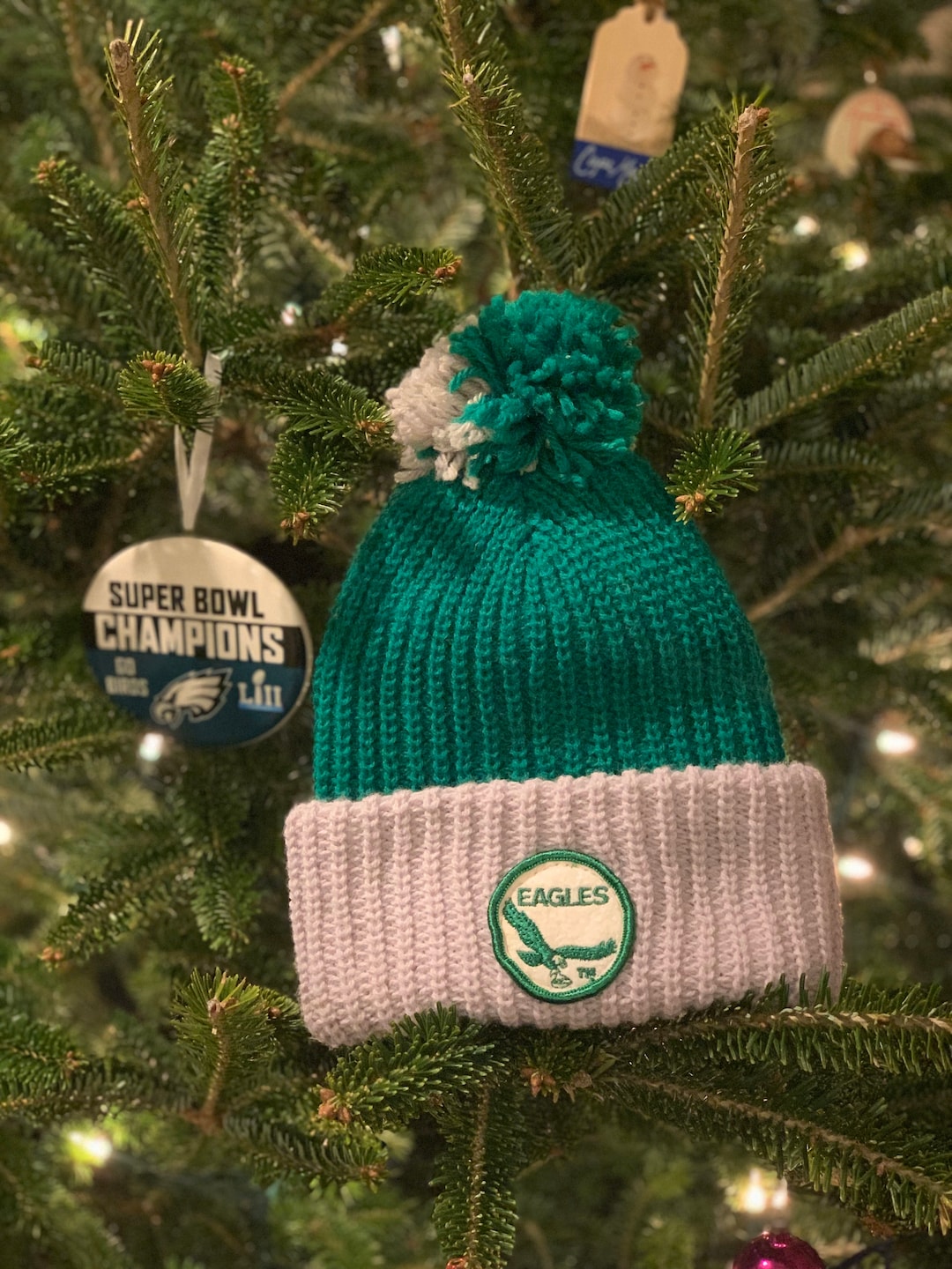 Vintage Philadelphia Eagles Knit Winter Hat - Etsy