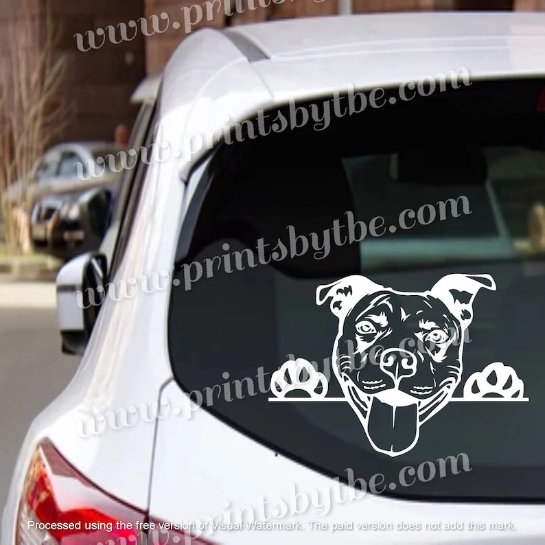 Peeking Pitbull Decal, Vinyl Car/truck/tumbler Sticker - Etsy