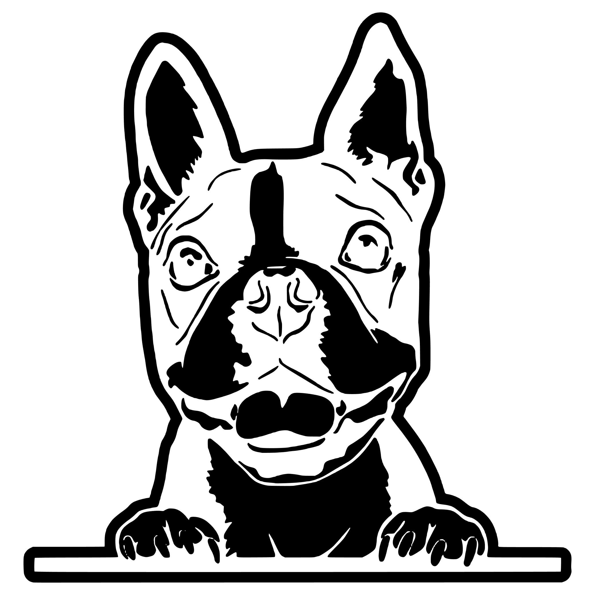Peeking Boston Terrier Decal Dog Car Truck Window Sticker 22 Variations ...