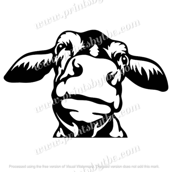 Cow Head Decal - Etsy