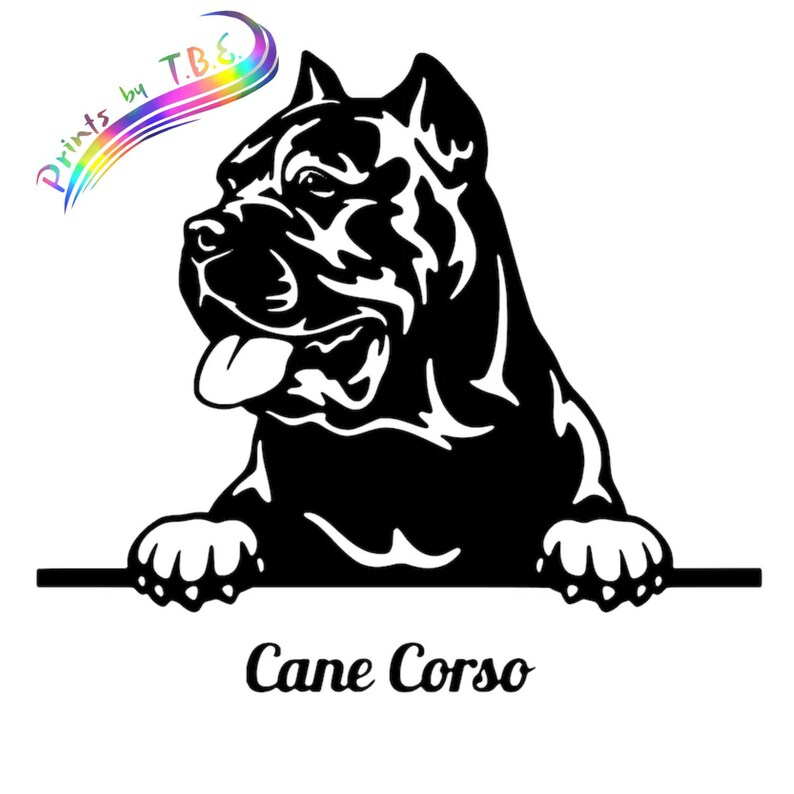Peeking Cane Corso Dog Decal Tumbler Truck Car Window Laptop Hydro ...