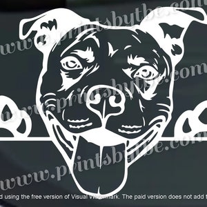 Peeking Pitbull Decal Pitt Bull Dog Puppy Tumbler Car Truck Window ...
