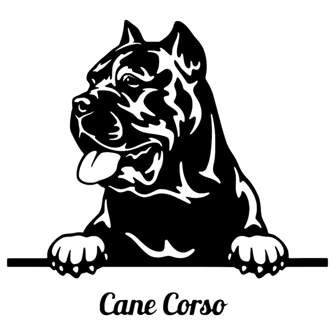 Peeking Cane Corso Dog Decal Tumbler Truck Car Window Laptop Hydro ...