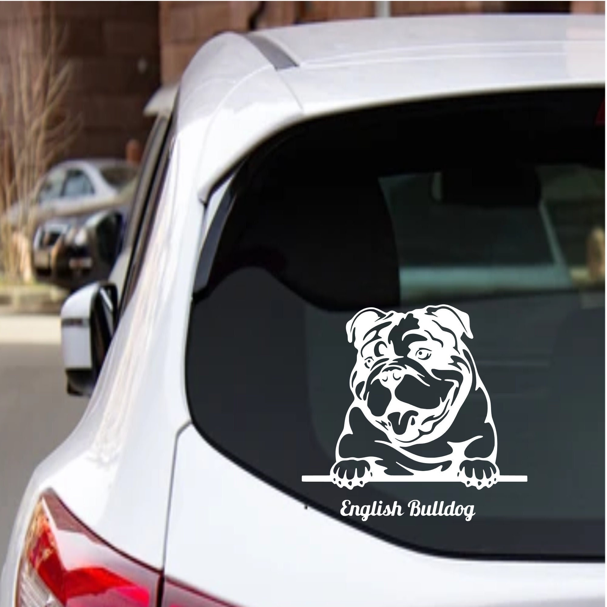English Bulldog Decal Dog Car Truck Door Window Laptop Tumbler - Etsy