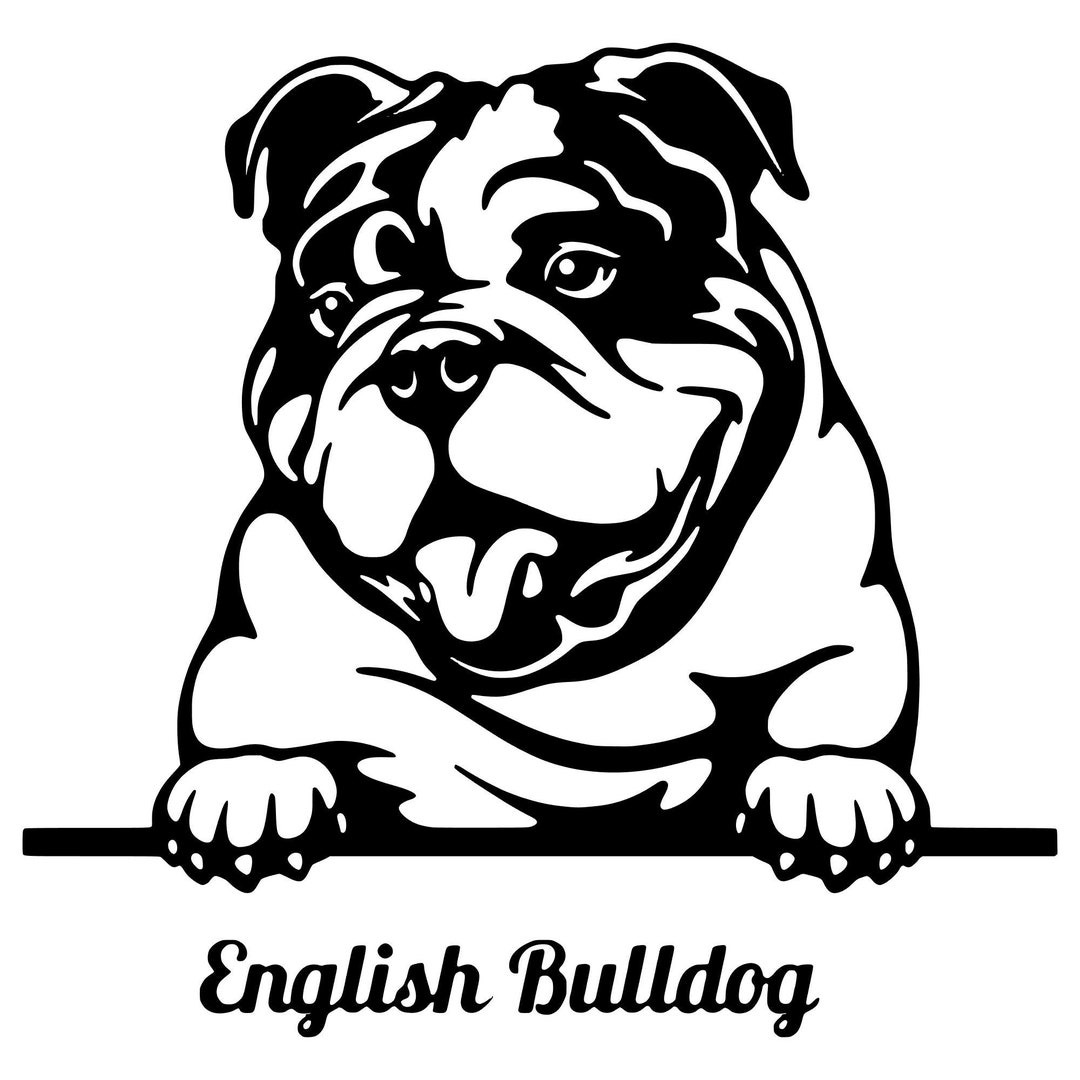 English Bulldog Decal Dog Car Truck Door Window Laptop Tumbler - Etsy