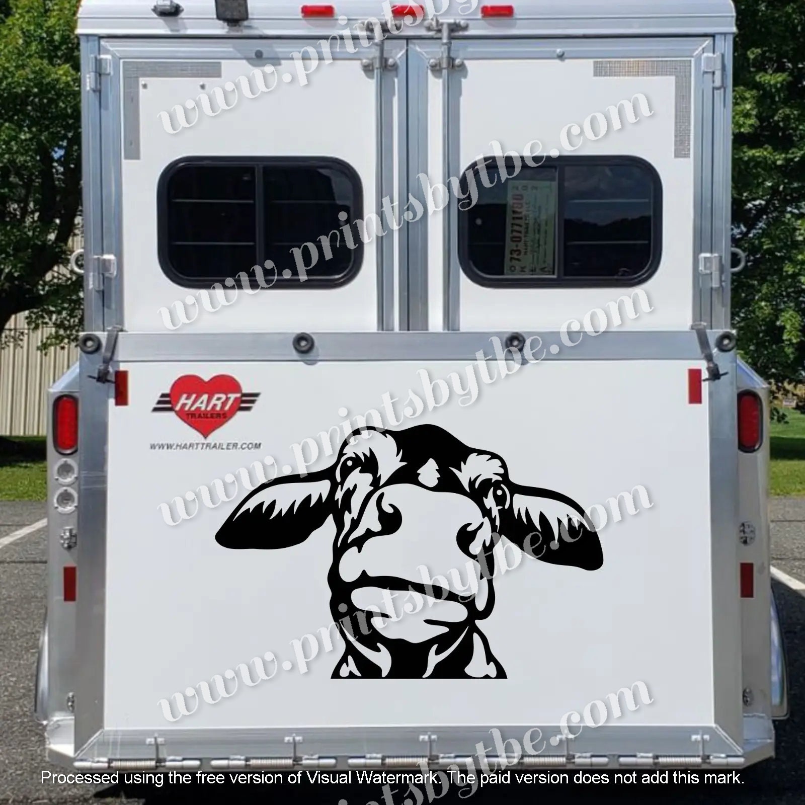 Peeking Cow Head Decal Sticker Car Tumbler Laptop Window Funny JDM ...
