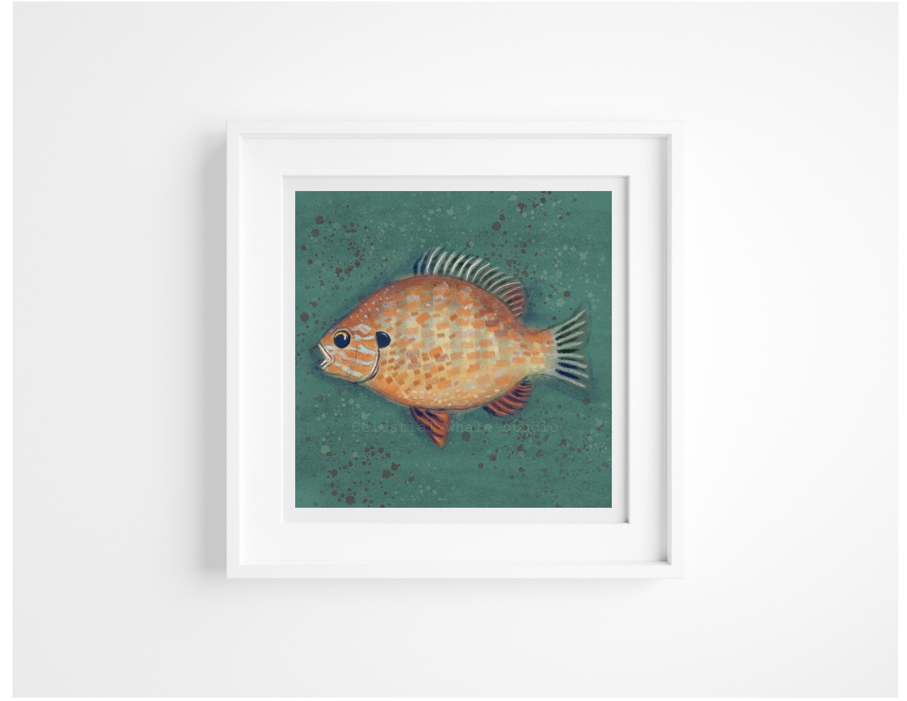 Science Art Marine Biology Series 5x5 Prints Digital Illustration - Etsy