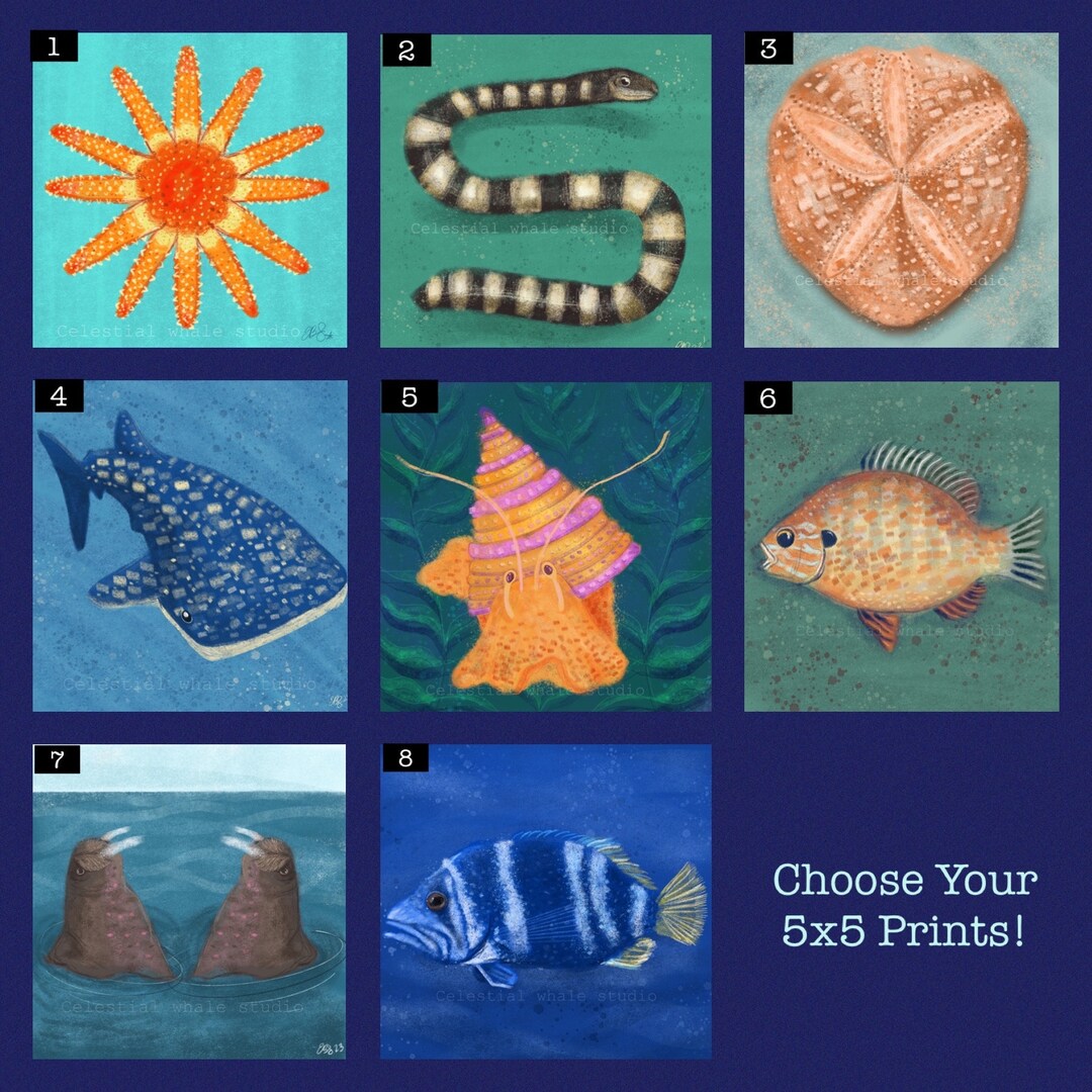 Science Art - Marine Biology Series - 5x5 Prints - Digital Illustration ...