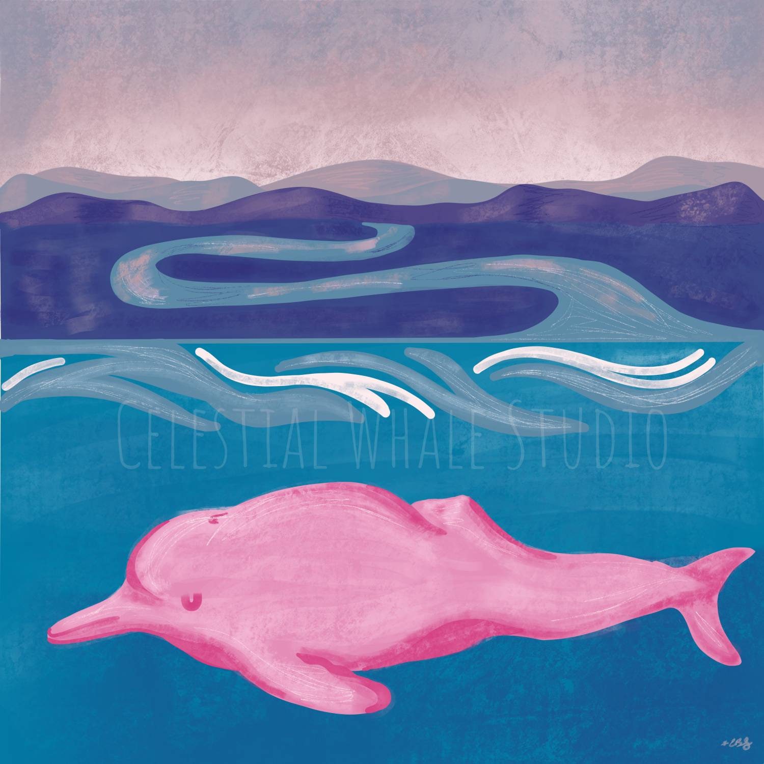 Pink River Dolphin 5x5 PRINT Digital Illustration - Etsy