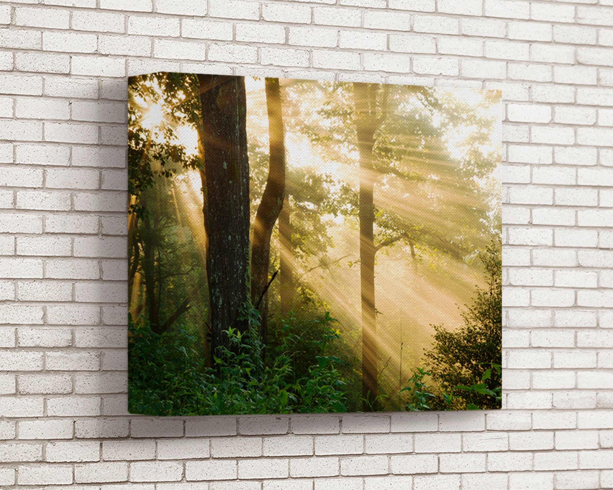 Nature Photography / God Rays / Sun Rays / Photography Print / Wall Art ...