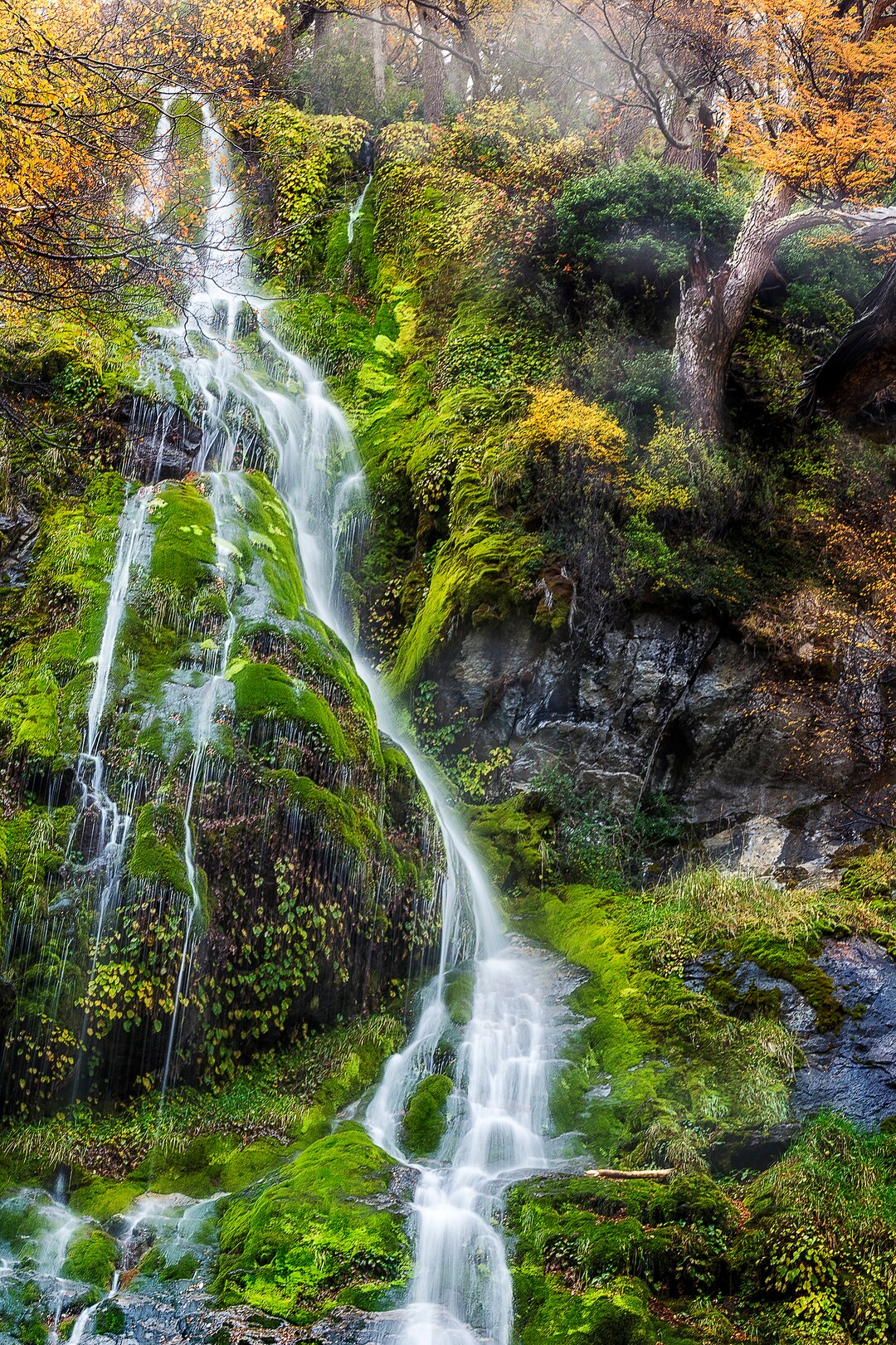 Nature Photography / Waterfall / Photography Print / Wall Art / Wall ...