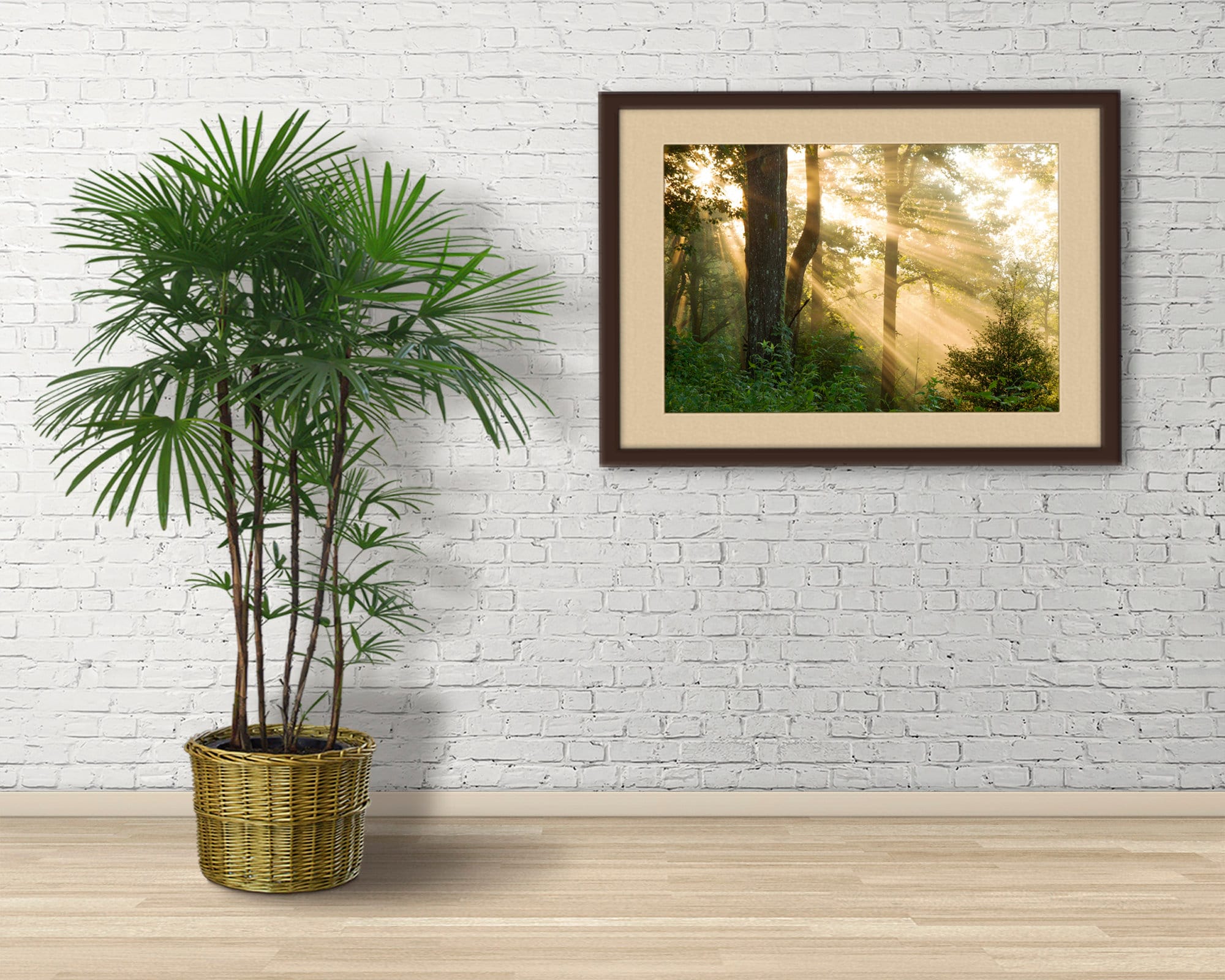 Nature Photography / God Rays / Sun Rays / Photography Print / Wall Art ...