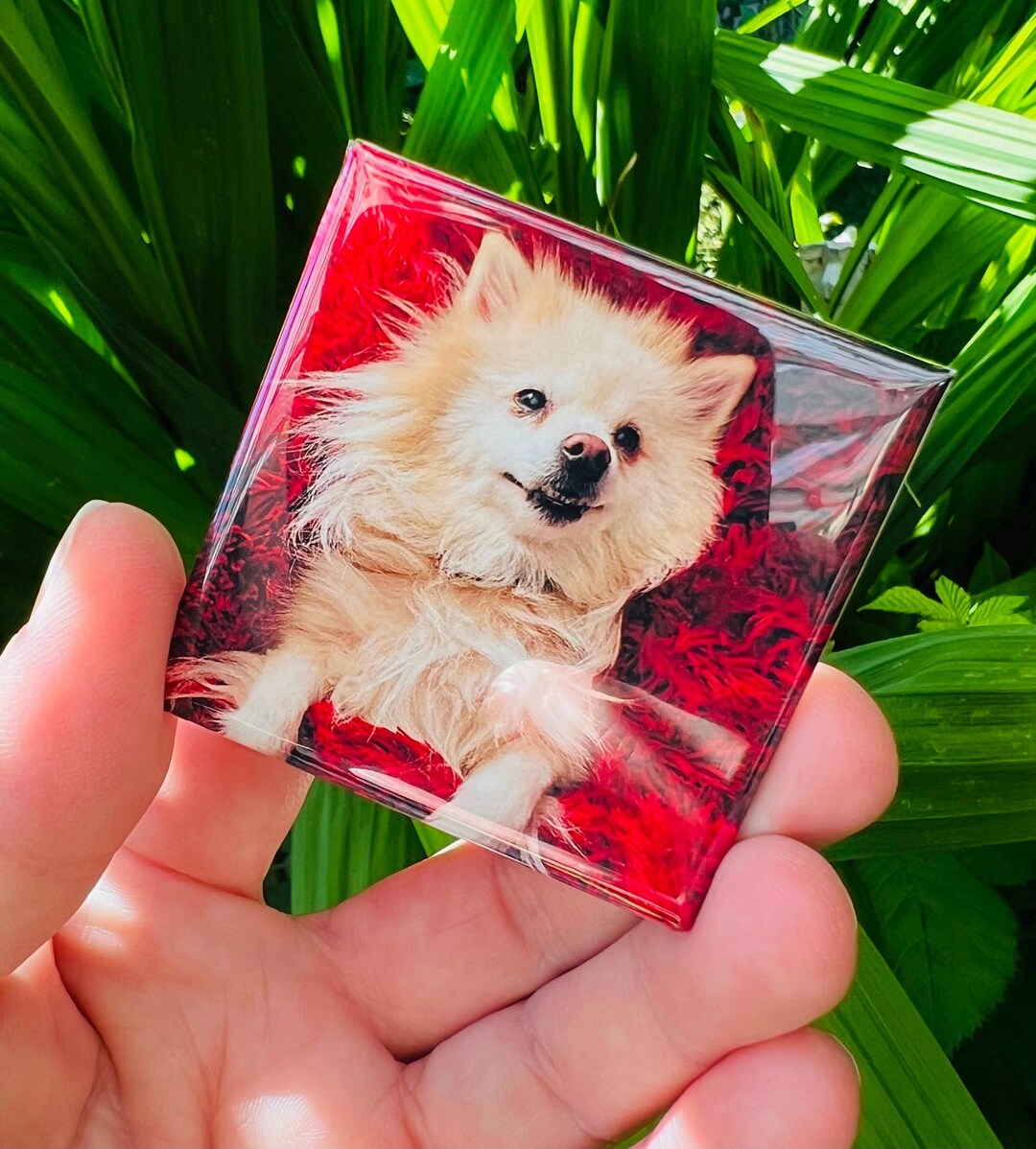 Custom Photo Magnets Set of 9 • 2 Inch Square Fridge Tiles ...