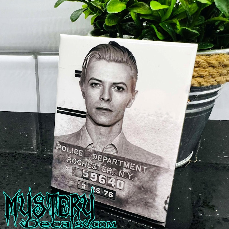 David Bowie Magnet - Etsy