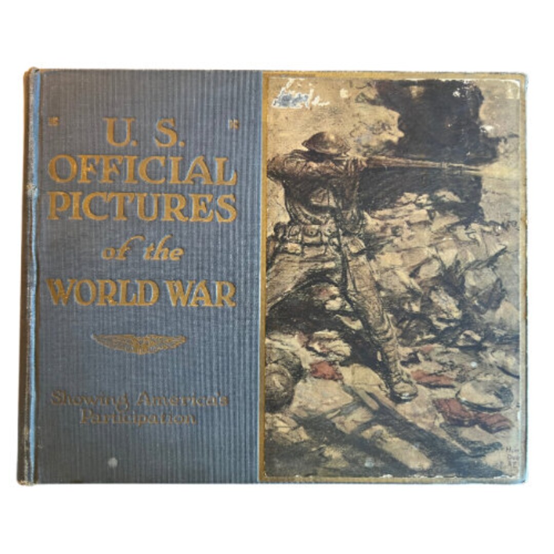 1920 U.S. Official Pictures of the World War by William E. Moore and ...