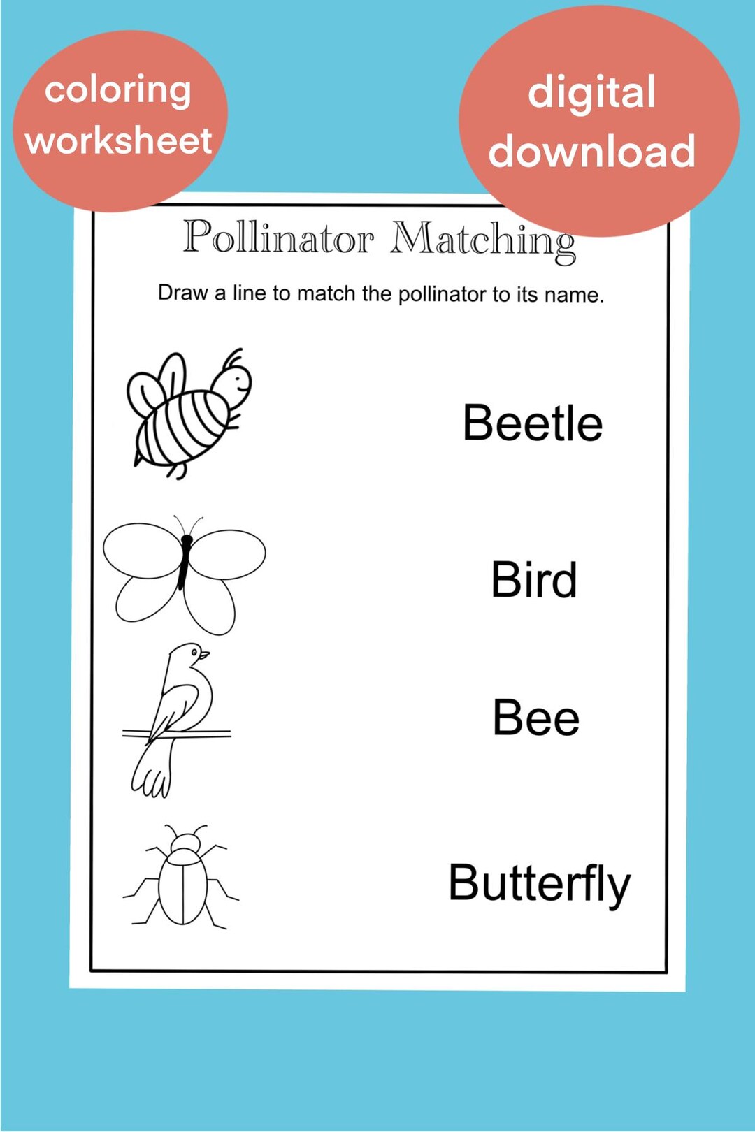 Pollinator Matching Worksheet - Etsy