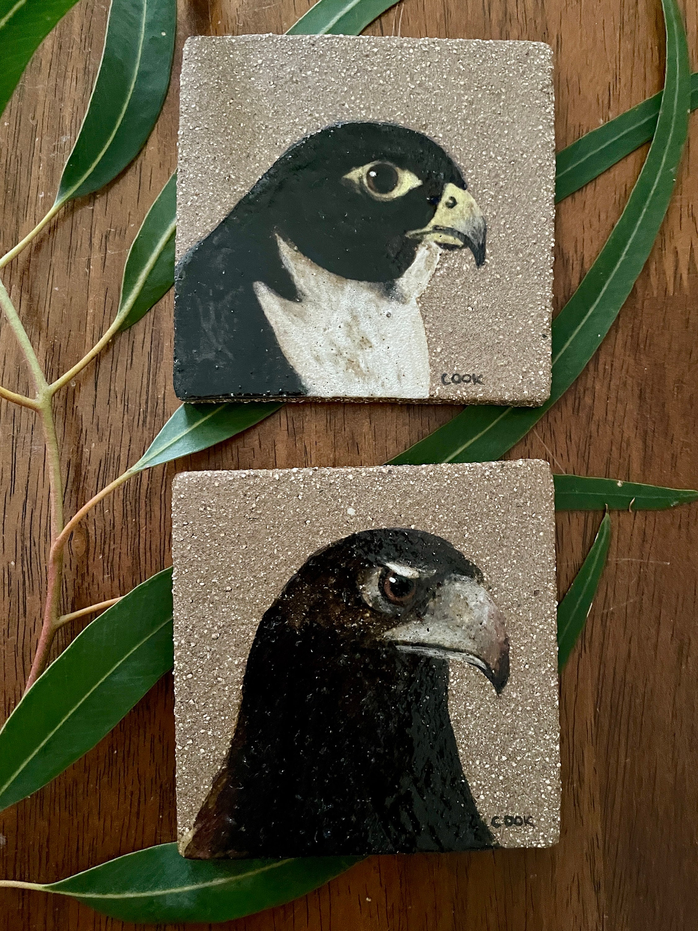 Handmade and Painted Australian Peregrine Falcon Ceramic Tile Art - Etsy