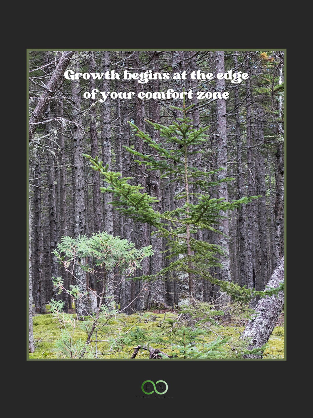 Growth at Edge Comfort Zone Wall Art Inspirational Art Print - Etsy