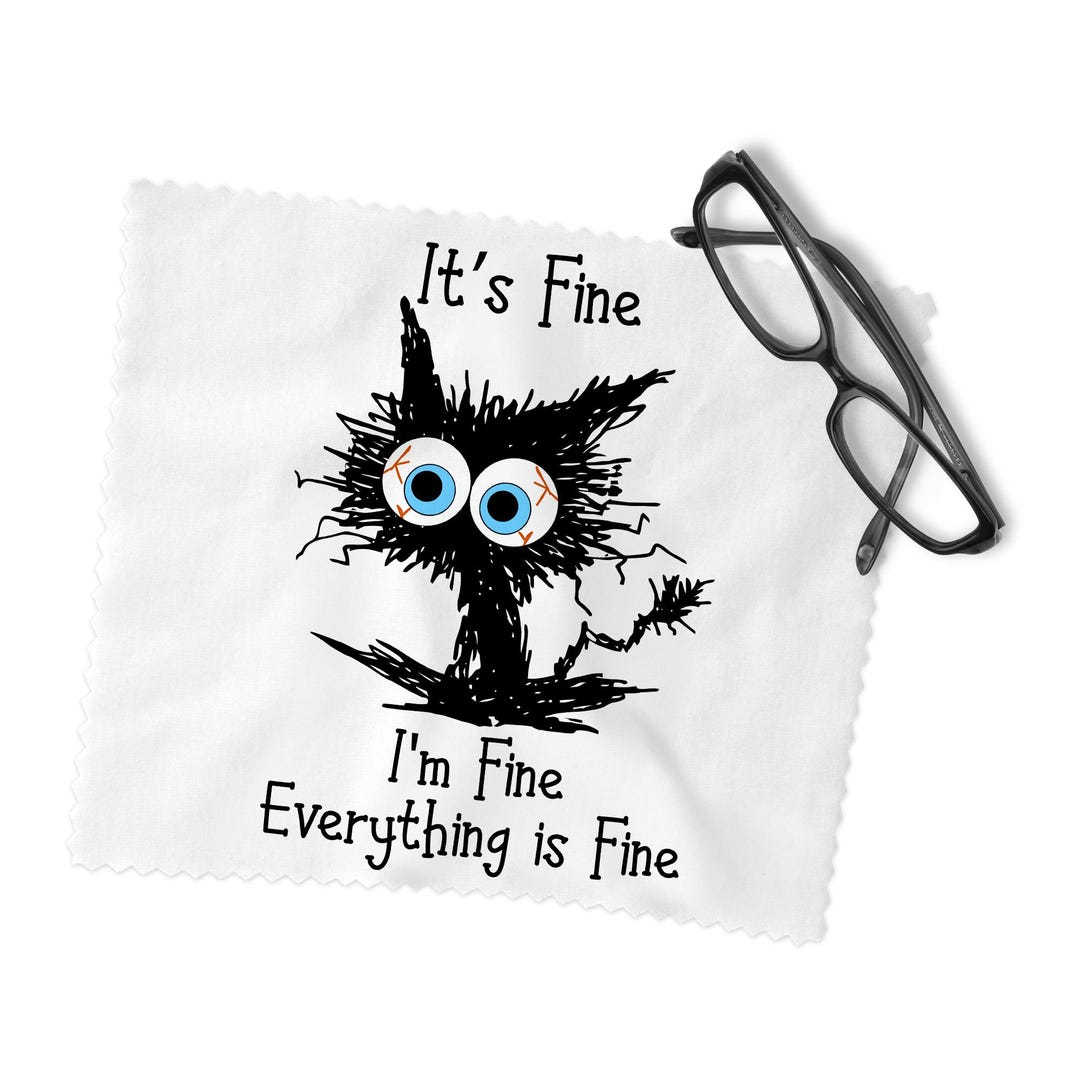 It's Fine Cat Microfiber Lens Cleaning Cloth: Eyeglass, Phone Screen ...