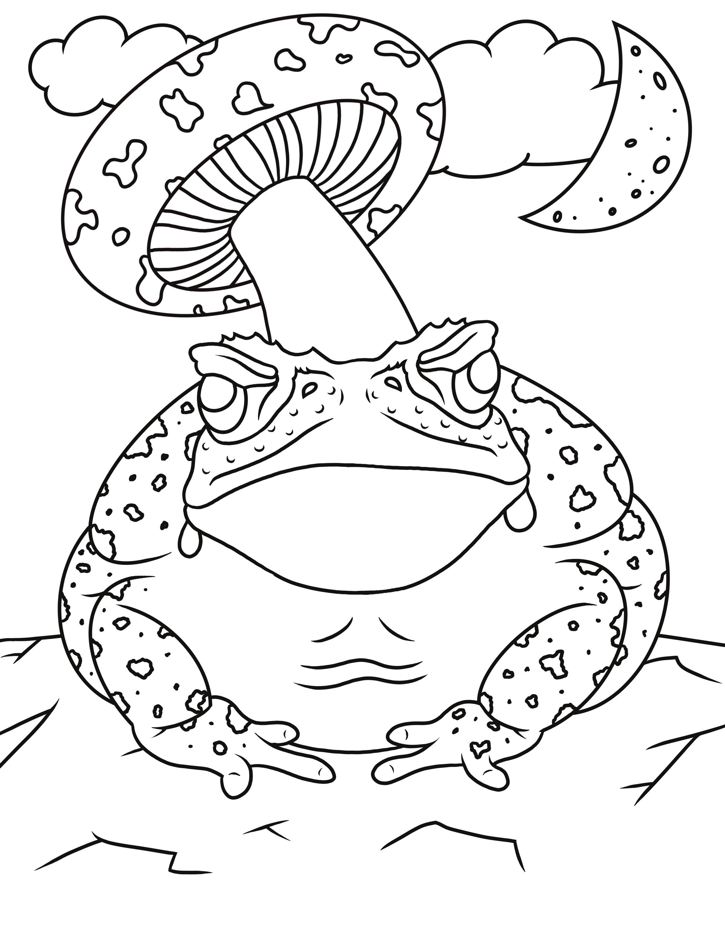 Toad Coloring Page