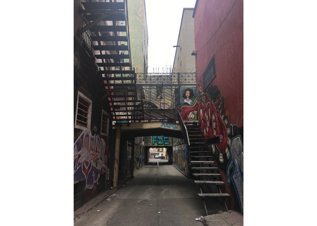 Tijuana Thoroughfare — Photograph of a Graffiti-covered Tijuana Alley ...