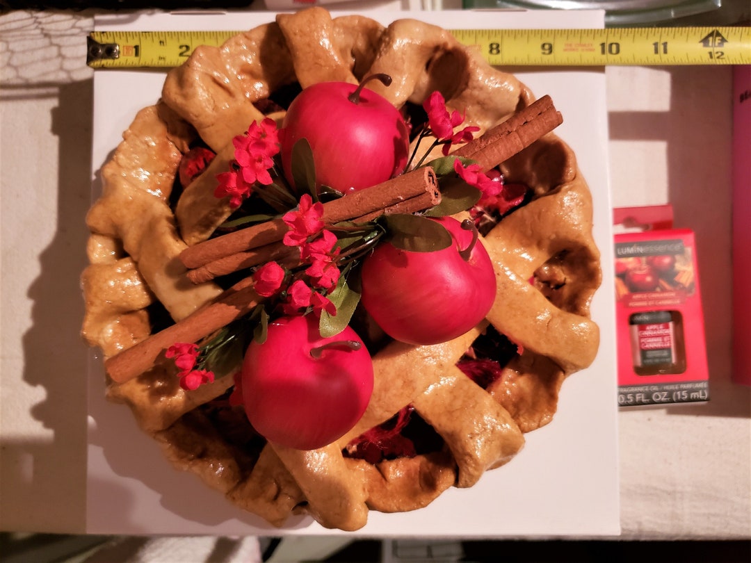 The Scented Potpourri Pie - Re Heatable - Etsy