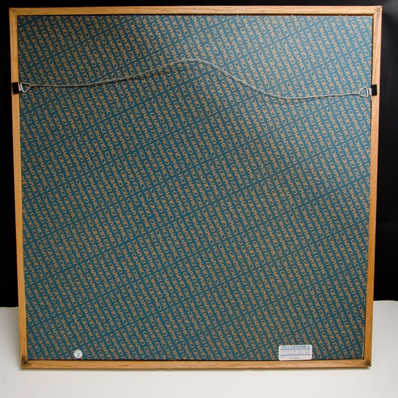 Vintage Figi Graphics Large 21x21 Wess Pressed Art Print “cactus Flower ...